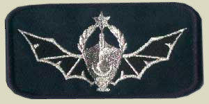 IDF Shayetet Navy Seals Army Patch | Israel Military Products