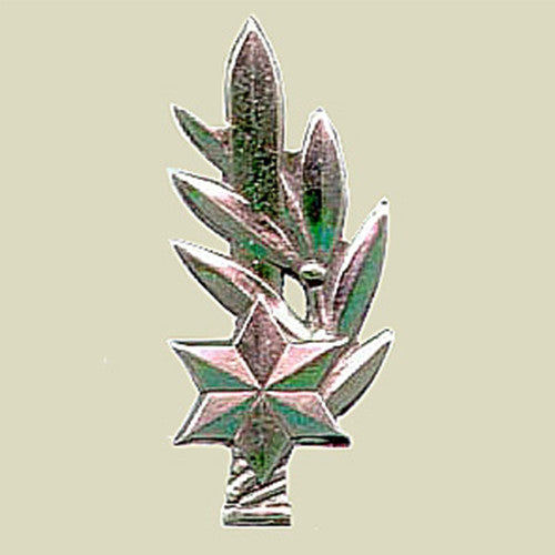 KATZIN - IDF Combat Officer Insignia | Israel Military Products